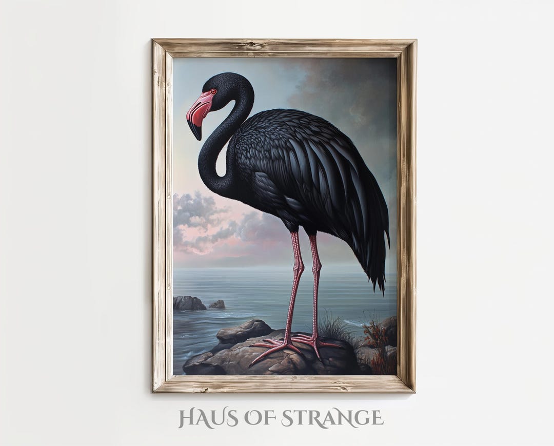 Vintage Bird Print Flamingo Printable Artwork Gothic Flamingo Wall Art ...