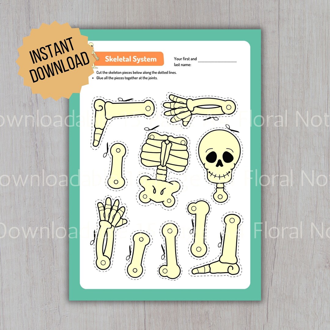 Skeletal System Worksheet Cut Paste Bone Arm Leg Skull Activity Primary ...