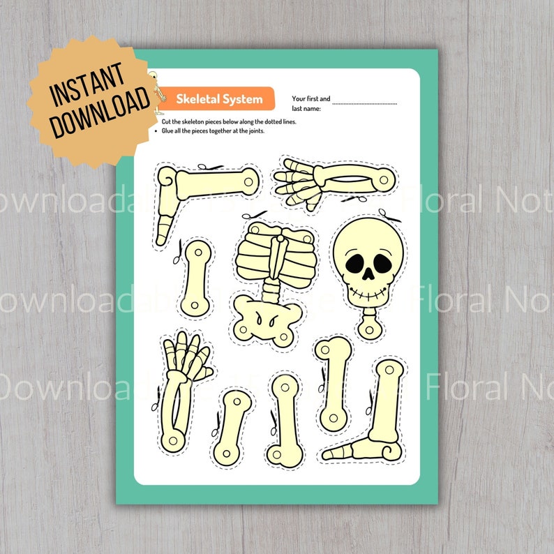 Skeletal System Worksheet Cut Paste Bone Arm Leg Skull Activity Primary ...
