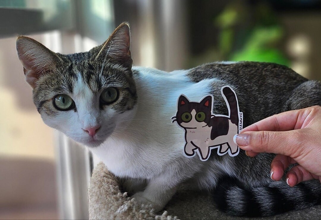 Personalized Cat Stickers Hand Drawn Custom Pet Stickers, Cat Stickers ...