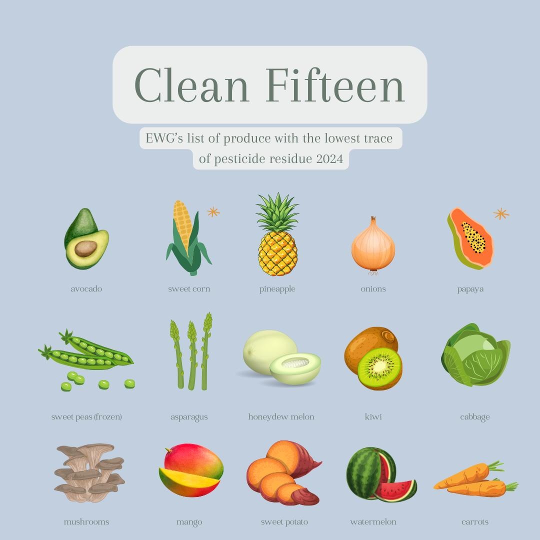 Printable Produce Chart - Clean Fifteen - Dirty Dozen - Visual - Etsy