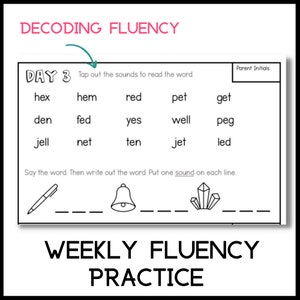 CVC Words and Digraphs Phonics Worksheets for Beginning Readers ...