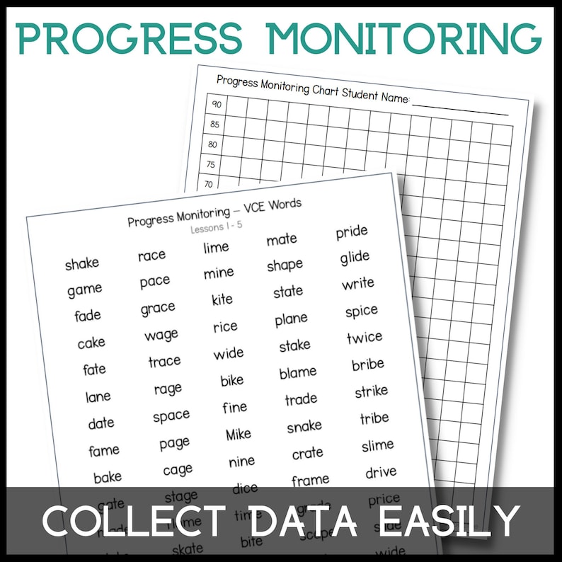 Silent E Worksheets VCE Words Long Vowel Small Group Intervention ...