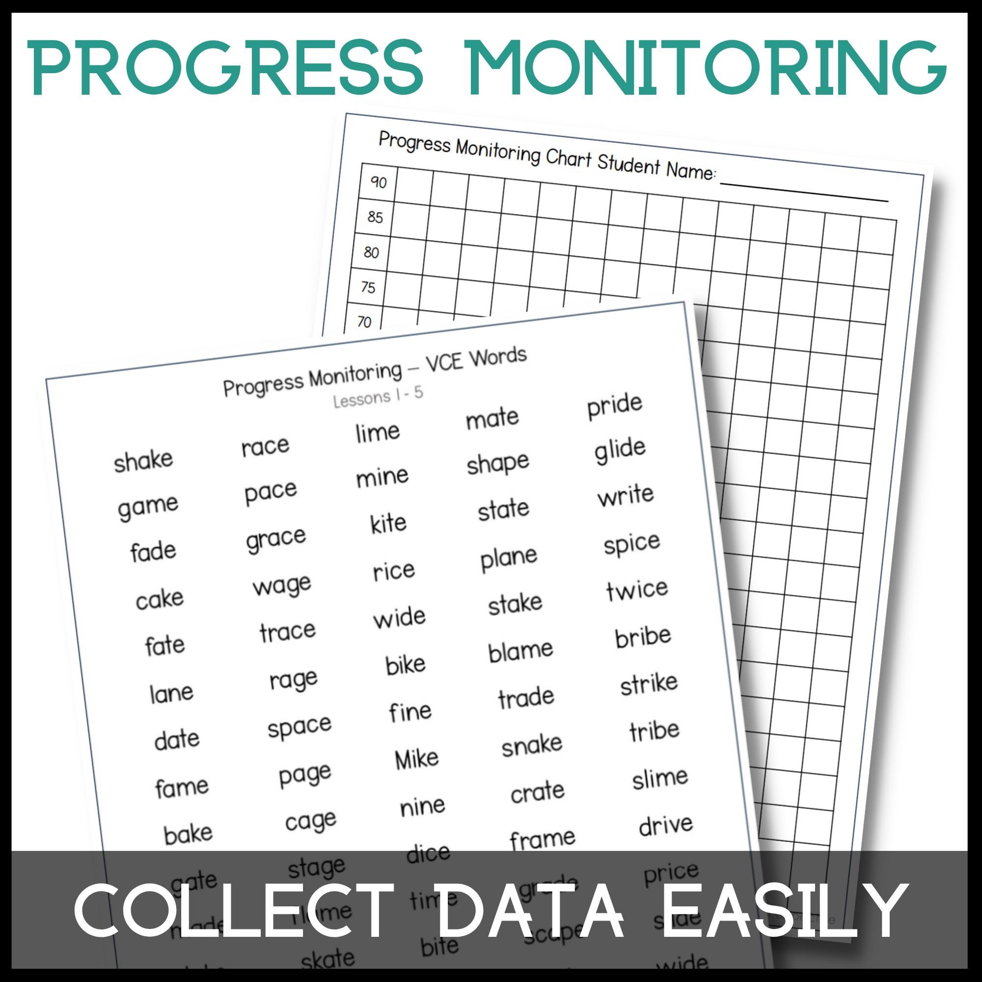 Silent E Worksheets VCE Words Long Vowel Small Group Intervention ...
