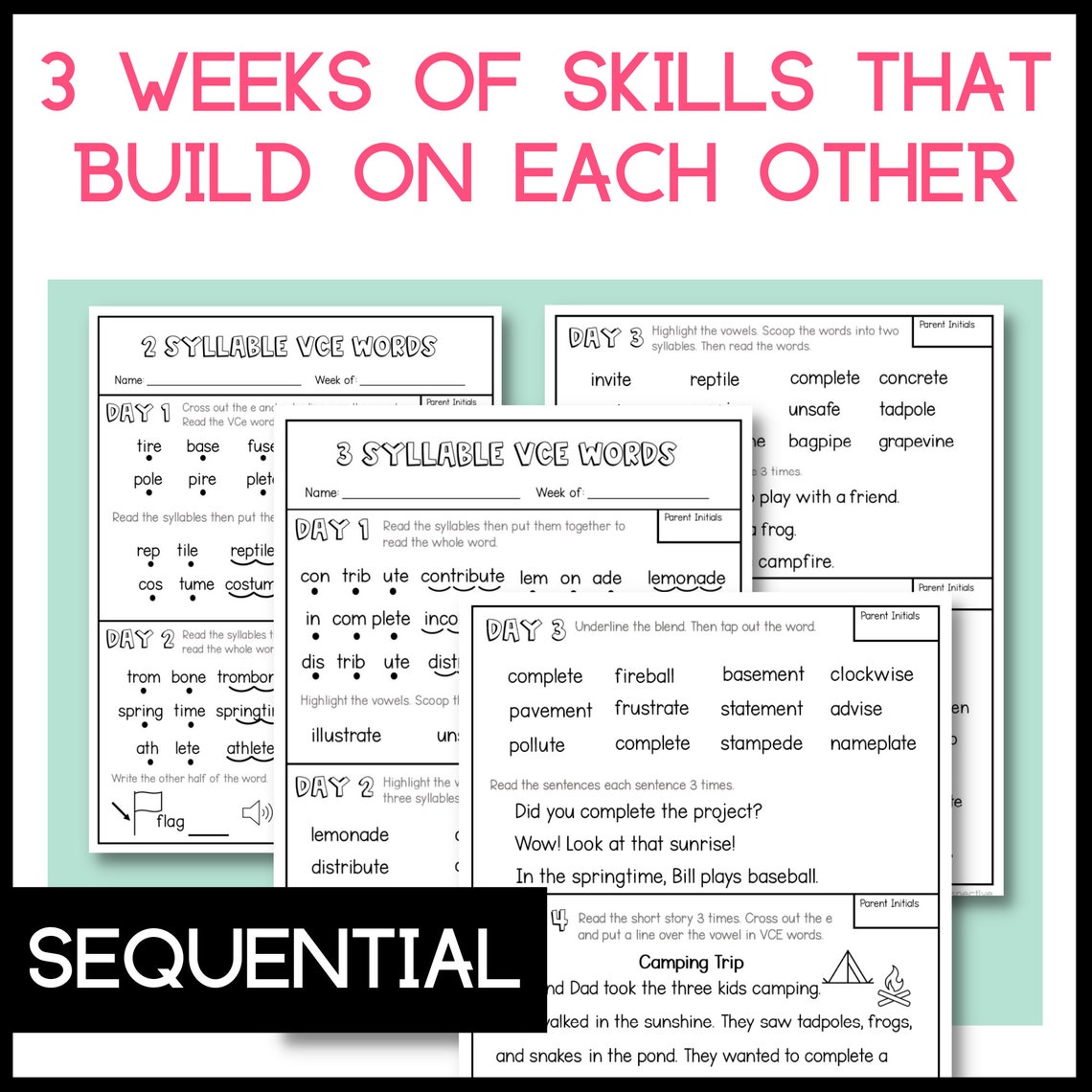 Phonics Worksheet Multisyllable Words With Silent E Words VCE Words ...