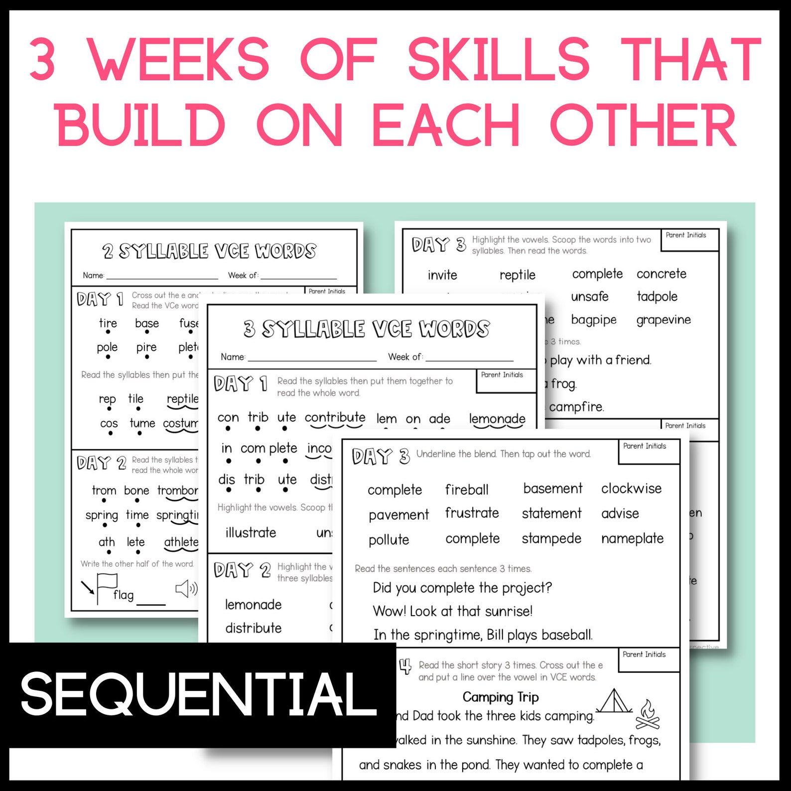 Phonics Worksheet Multisyllable Words With Silent E Words VCE Words ...