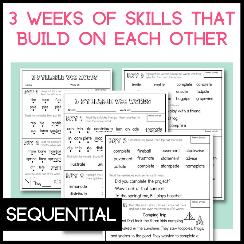 Phonics Worksheet Multisyllable Words With Silent E Words VCE Words ...
