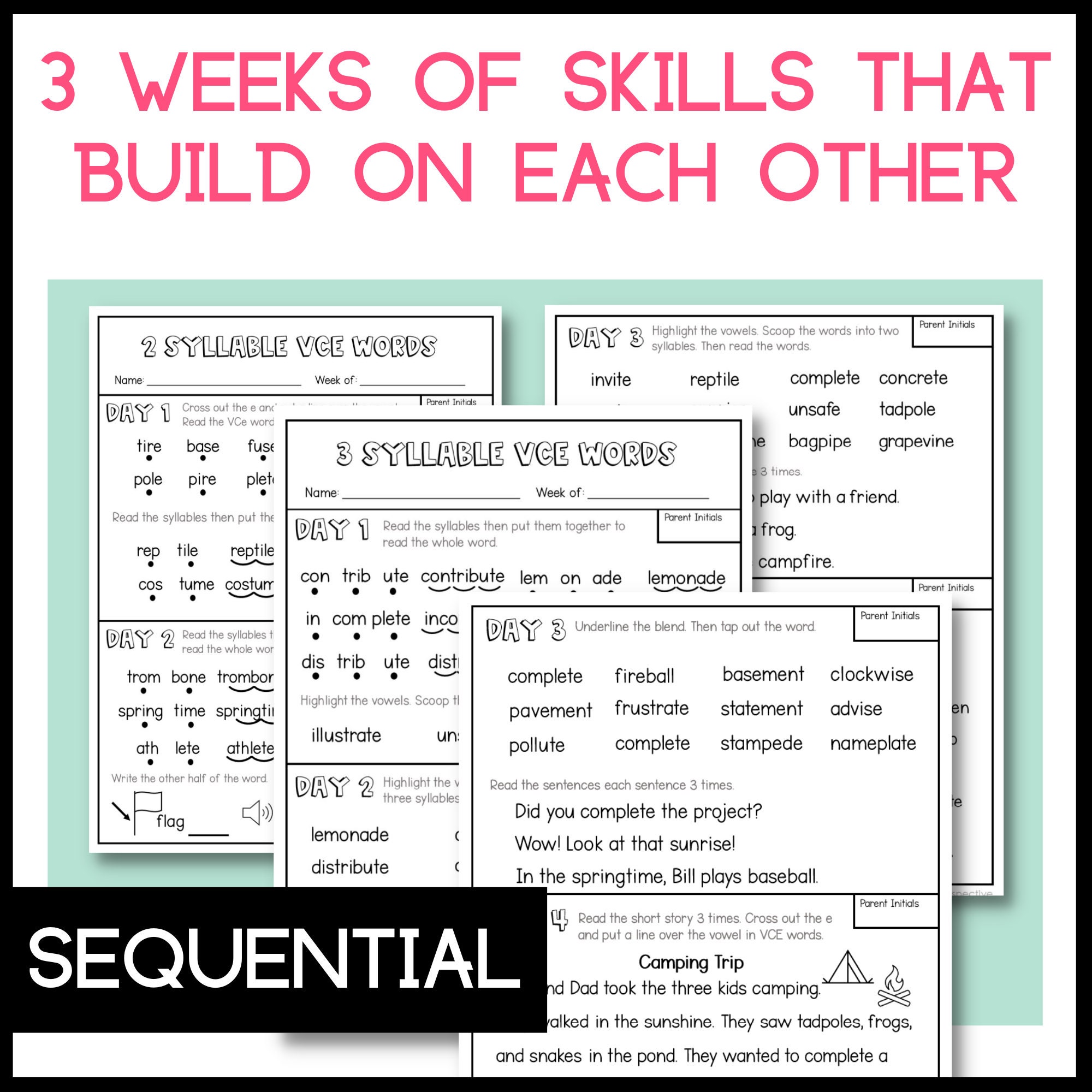 Phonics Worksheet Multisyllable Words With Silent E Words VCE Words ...