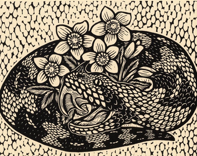 Viper Woodcut Snake Limited Edition Arcanum Bestiarum Bestiary Print - Etsy