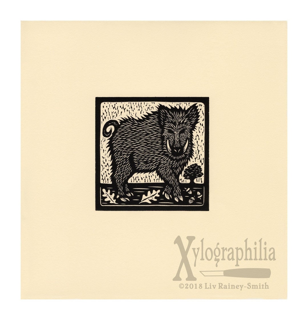 Boar Woodcut Limited Edition Arcanum Bestiarum Bestiary Print - Etsy
