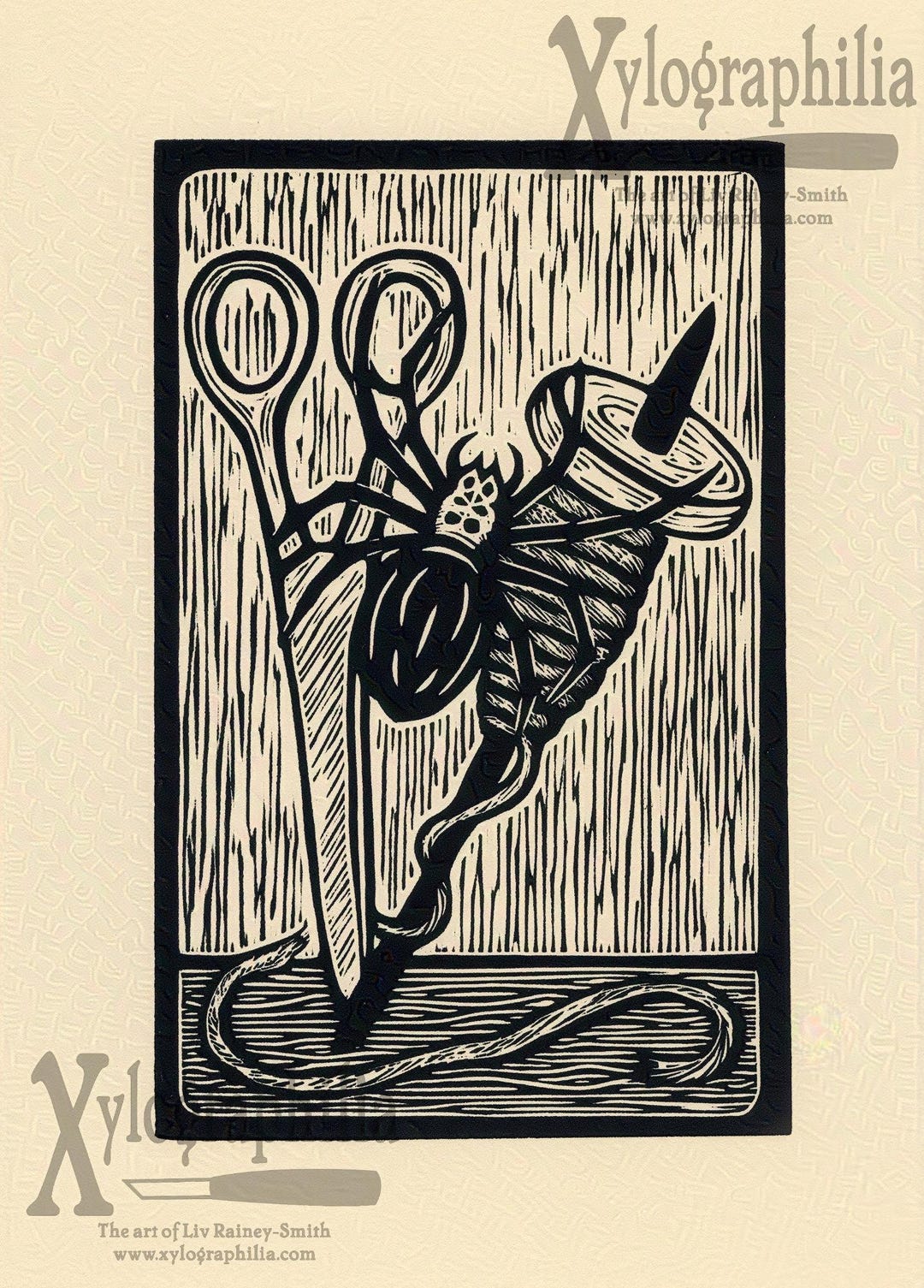 Nearly Gone Spider Woodcut Limited Edition Arcanum Bestiarum Bestiary ...