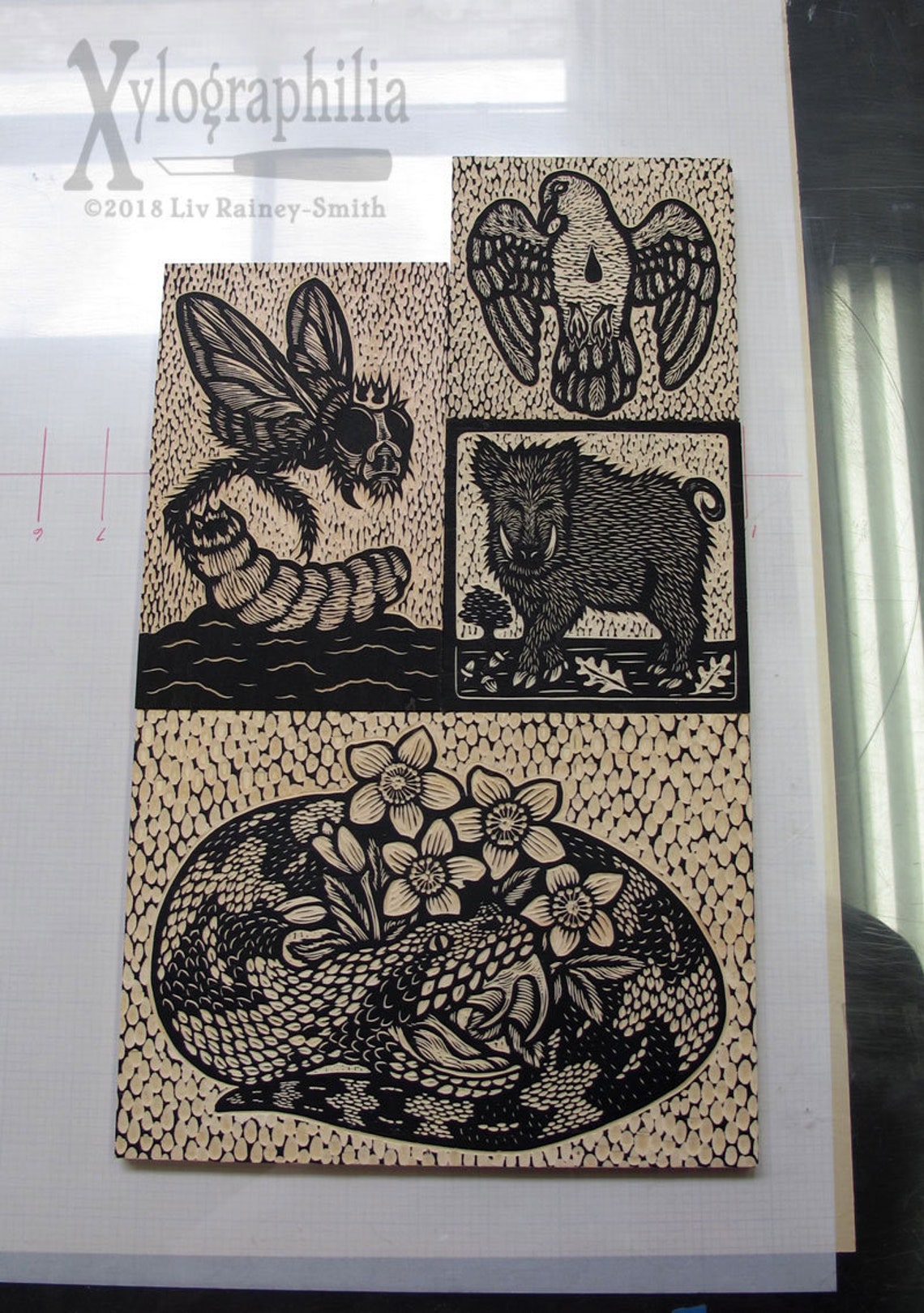 Boar Woodcut Limited Edition Arcanum Bestiarum Bestiary Print - Etsy