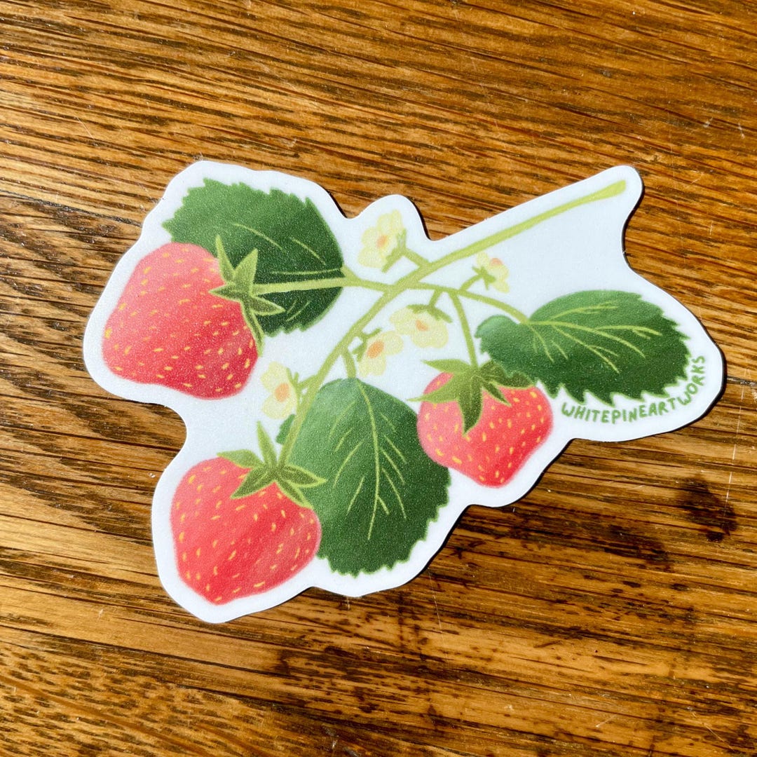 Wild Strawberries Sticker: Hand-designed Vinyl Decal - Etsy
