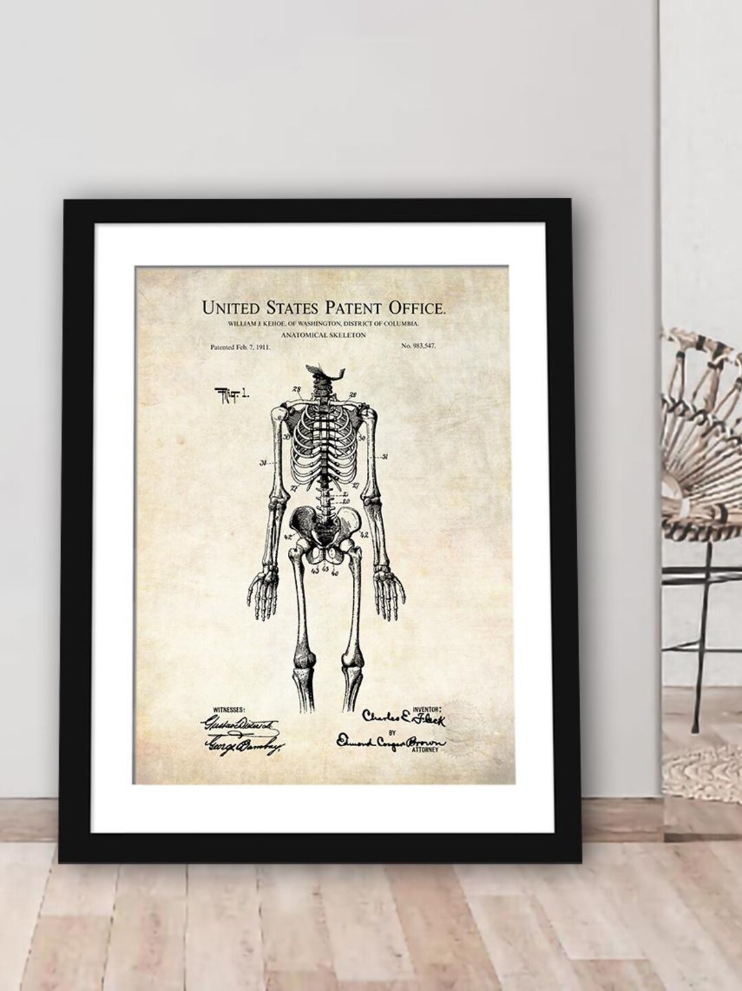 Vintage Skeleton Anatomy Art | 1911 Anatomical Skeleton Patent ...