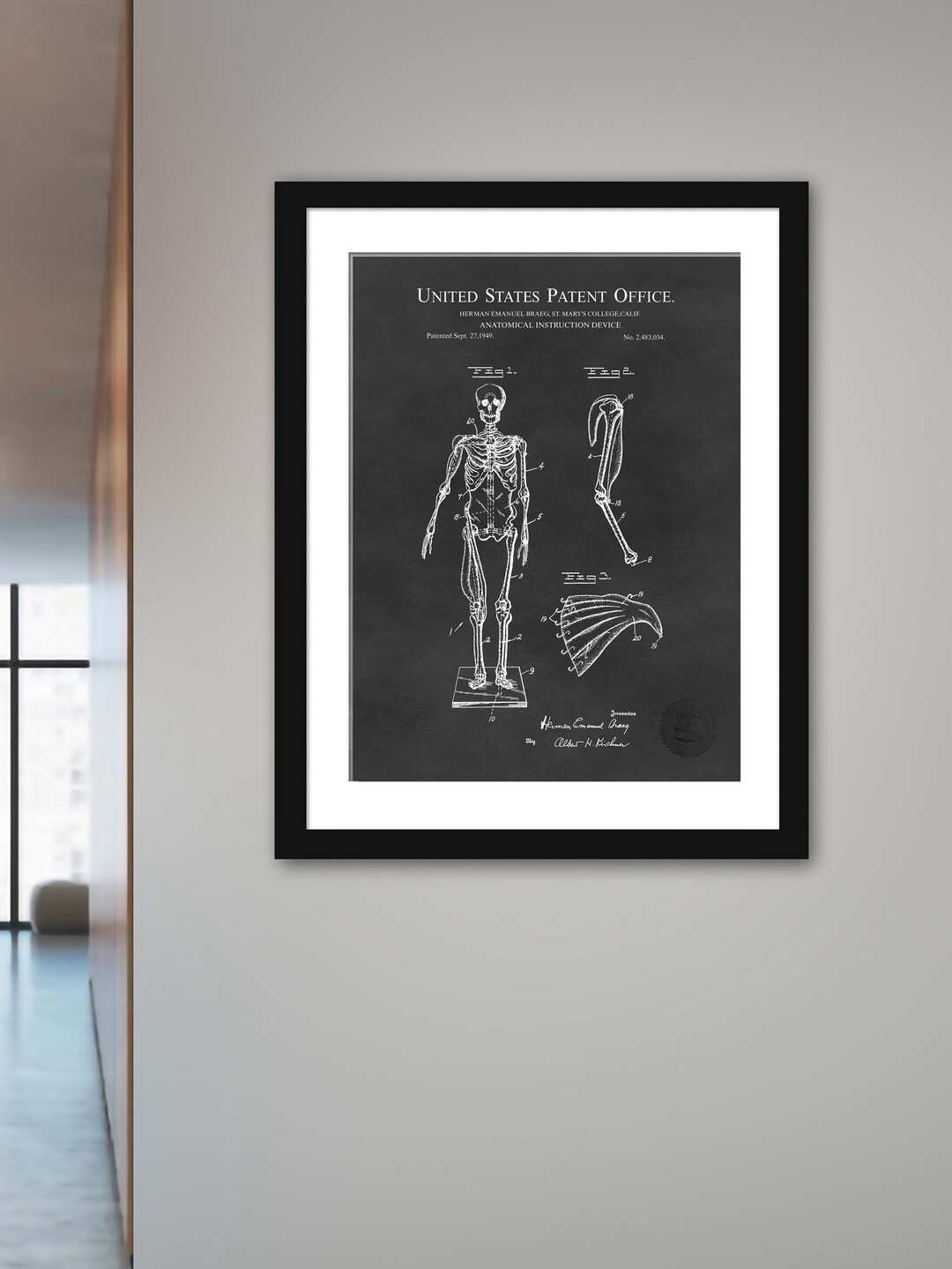 Skeleton Anatomy Print | 1949 Anatomical Instruction Patent | Perfect ...