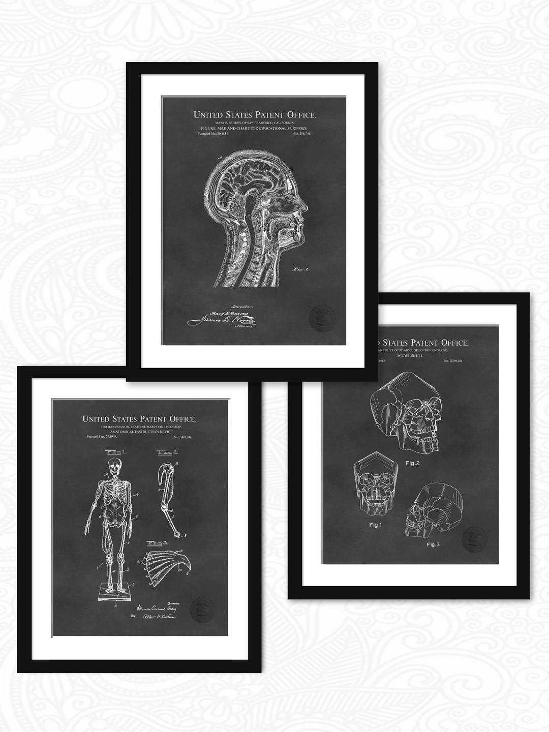 Vintage Anatomy Decor | Biology Patent Set | Educational Wall Art ...