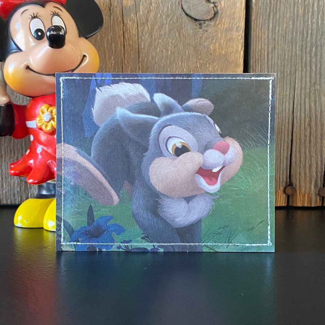 Thumper Disneyland Map Mini Wallet - Etsy