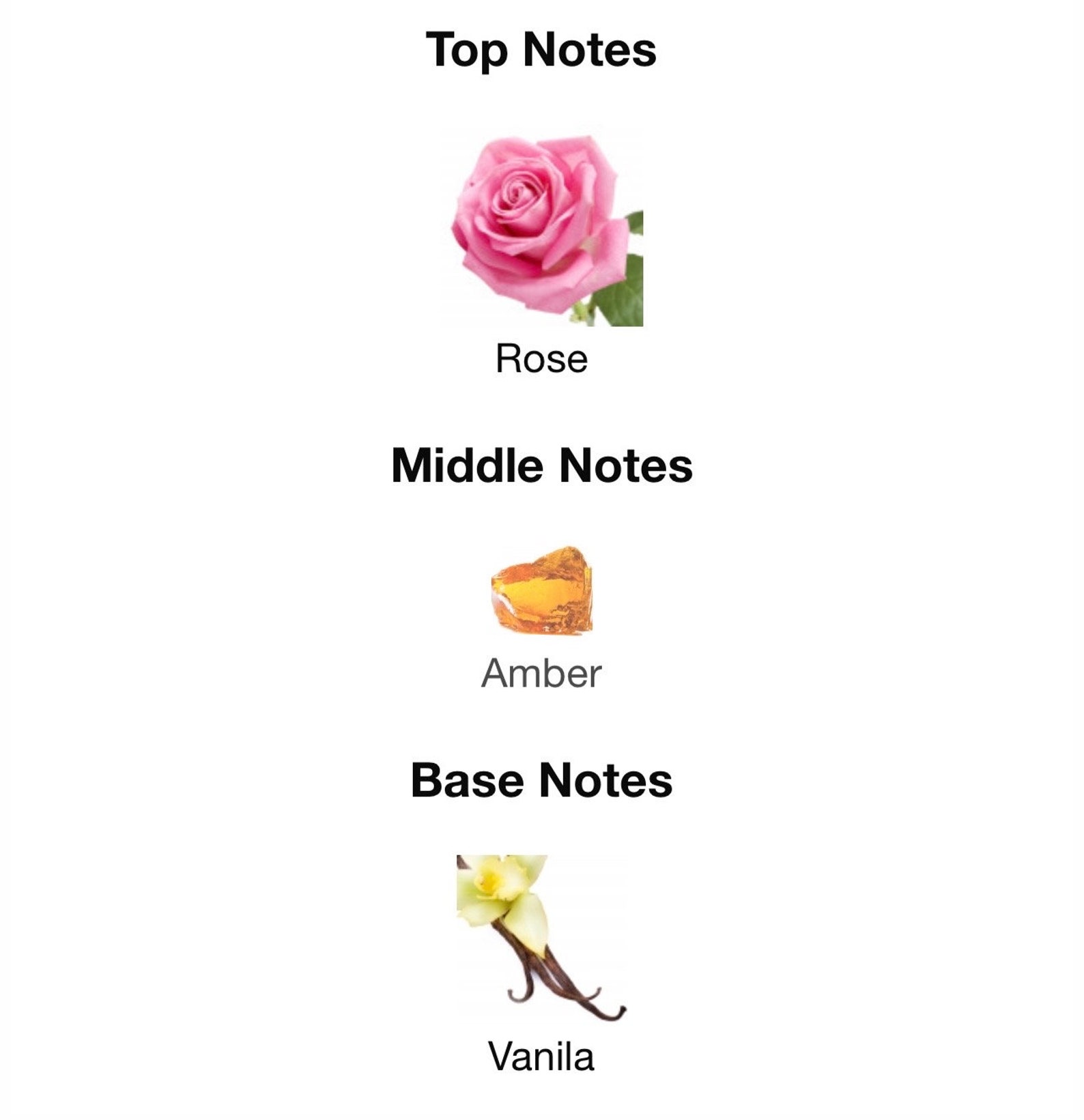 Rose Gourmand ZARA Perfume Sample Decant Travel Size - Etsy