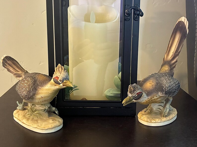 Vintage Lefton Roadrunner Figurine Pair – Hand Painted Prof. Ruocco ...