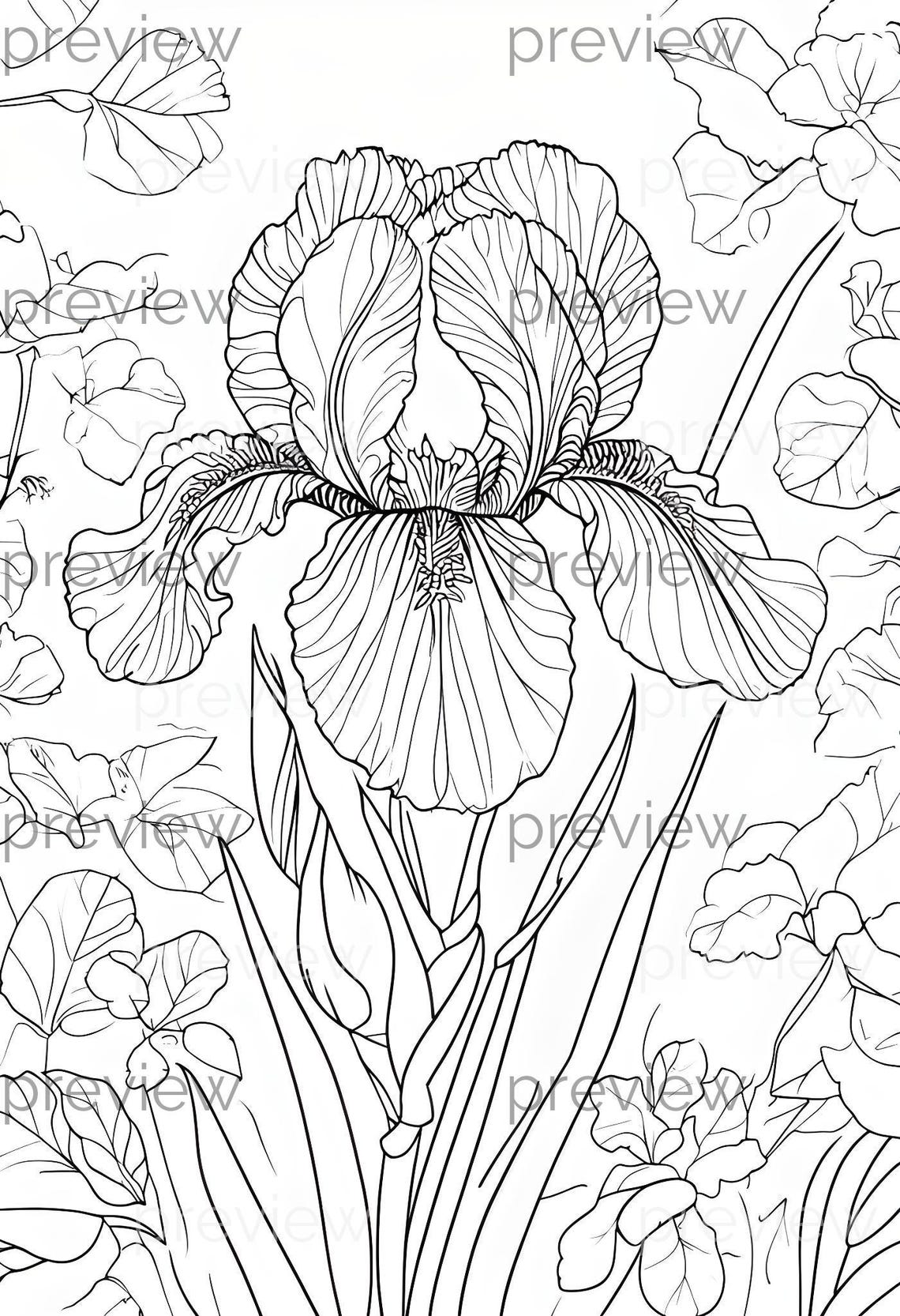 Elegant Iris Flower Line Drawing With Surrounding Floral Elements for ...