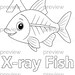X-ray Fish Coloring Page: Kids Alphabet Learning (digital Download) - Etsy