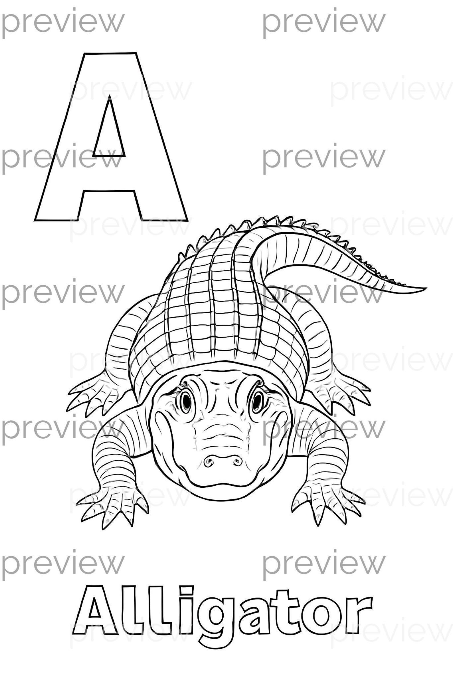 A is for Alligator Coloring Page - Fun Educational Printable for Kids ...