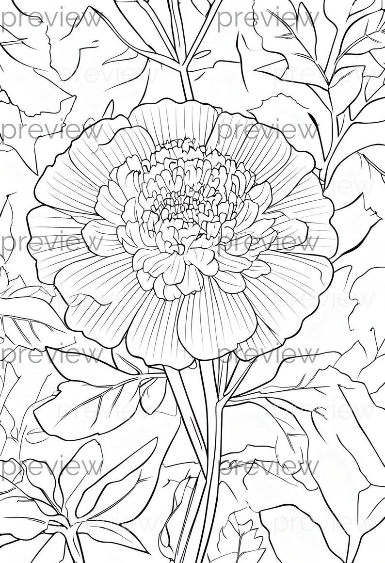 Seamless Peony Flower Pattern for Digital Paper, Gift Wrap, and ...