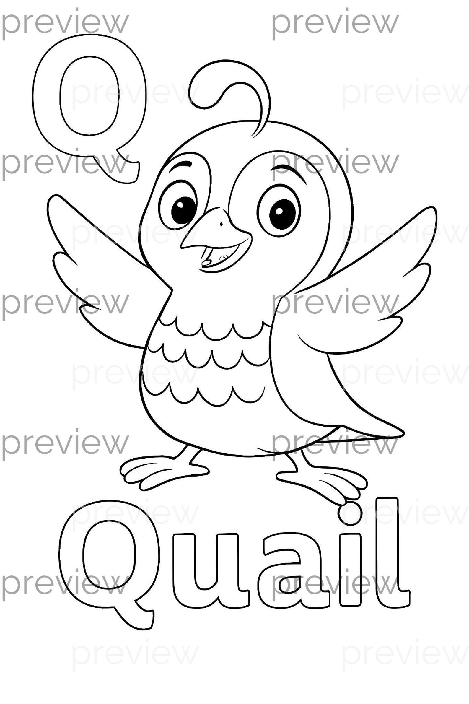 Cute Quail Coloring Page With Playful Q and Bold Quail Text for Kids ...