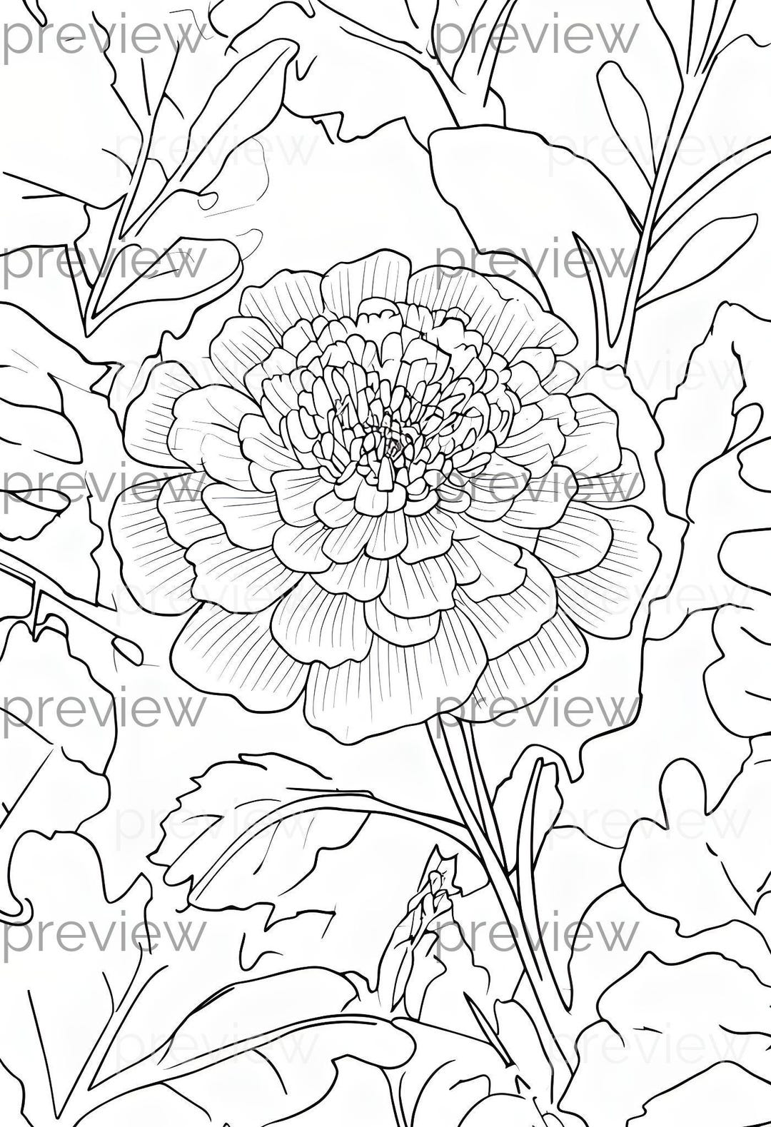 Elegant Zinnia Flower and Leaves Seamless Pattern for Digital Paper ...