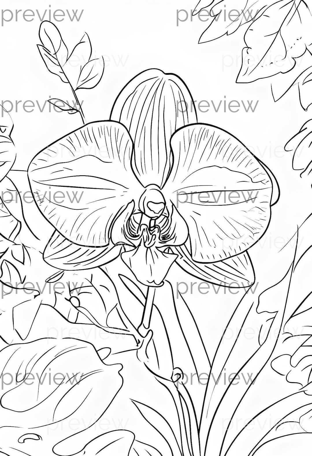 Elegant Phalaenopsis Orchid Line Drawing Seamless Pattern for Digital ...