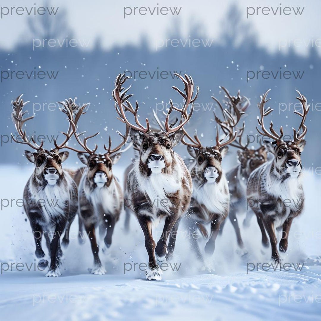 Majestic Reindeer Galloping Through a Snowy Landscape - Digital Art for ...