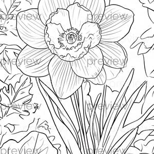 Elegant Daffodil Line Drawing Seamless Pattern for Digital Paper, Gift ...