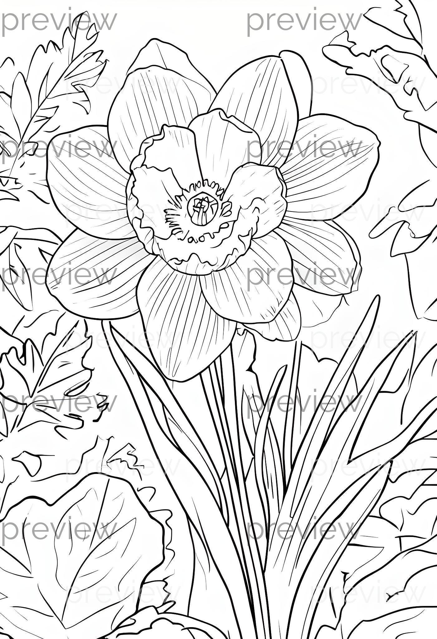 Elegant Daffodil Line Drawing Seamless Pattern for Digital Paper, Gift ...