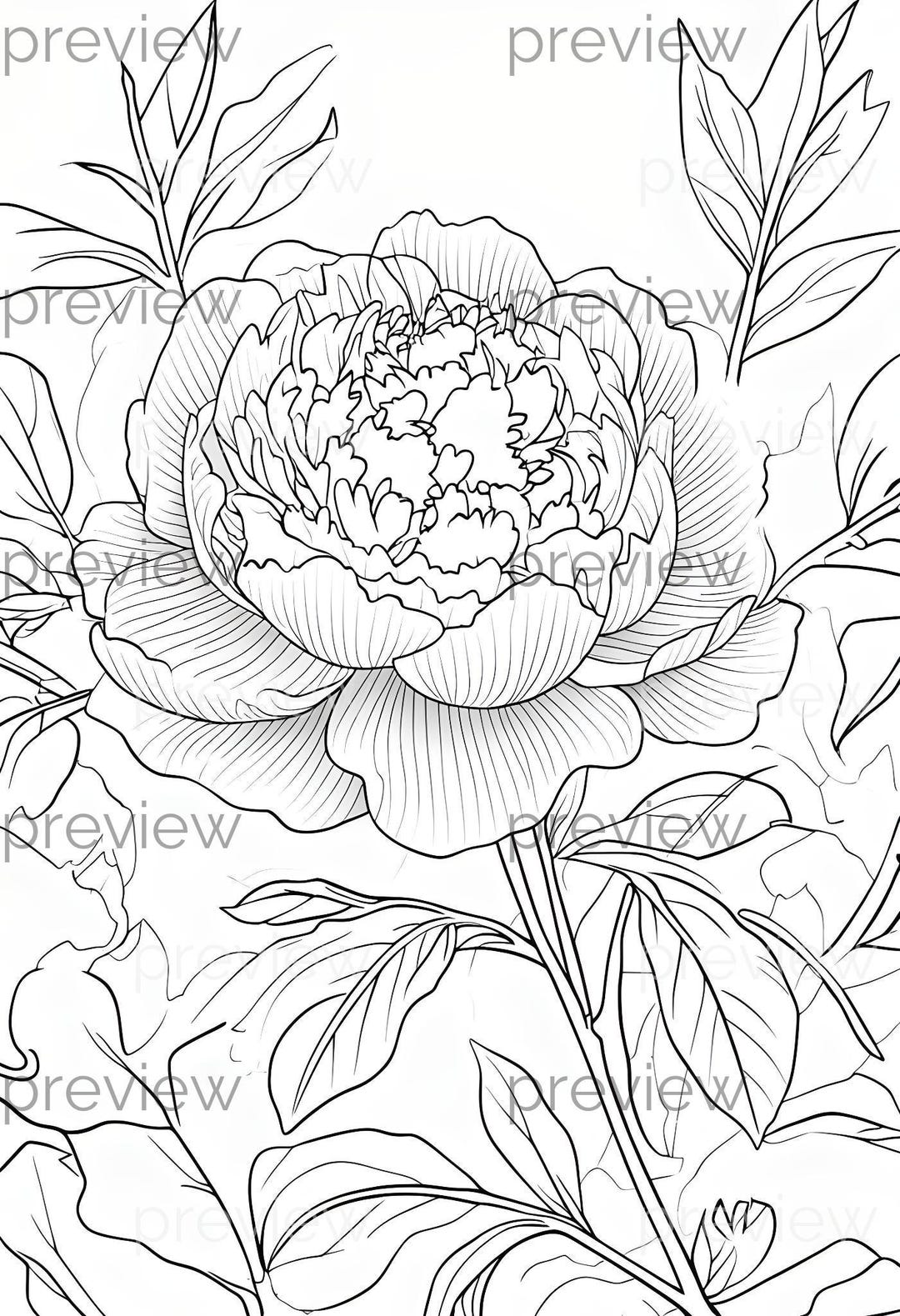 Lush Peony Flower Line Drawing Seamless Pattern for Digital Paper and ...