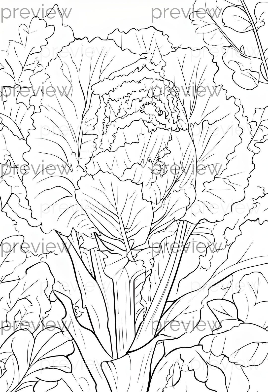 Detailed Black and White Cabbage Plant Line Drawing for Seamless ...