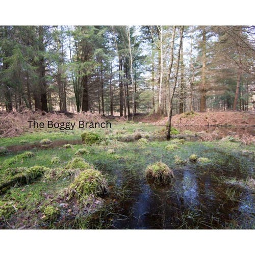 TheBoggyBranch - Etsy