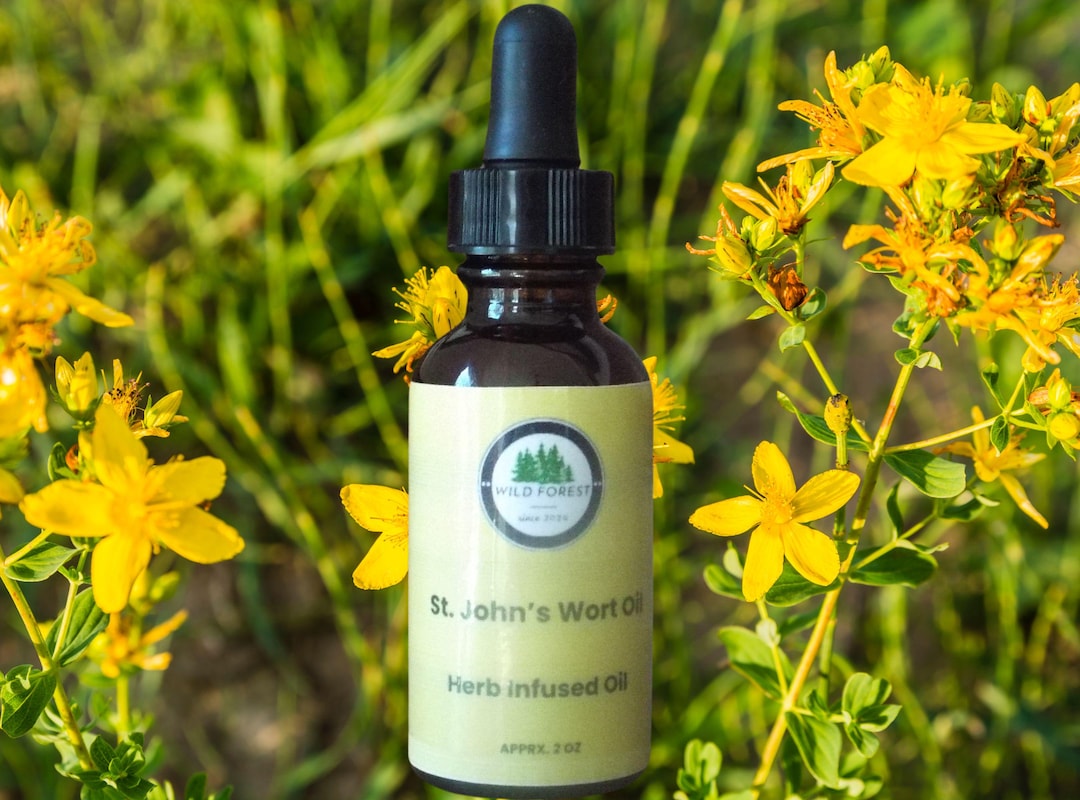 Solar Infused St. John's Wort Body Oil | Herbal Infusion for Bruises ...