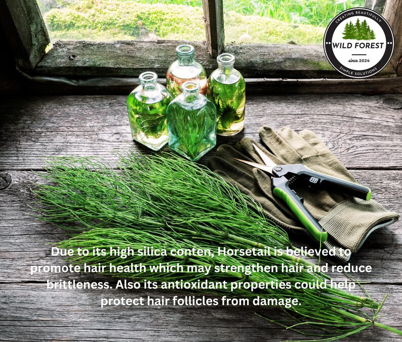 Horsetail and Nettle Shampoo Bar: Mineral-rich Herbs Infused Natural ...