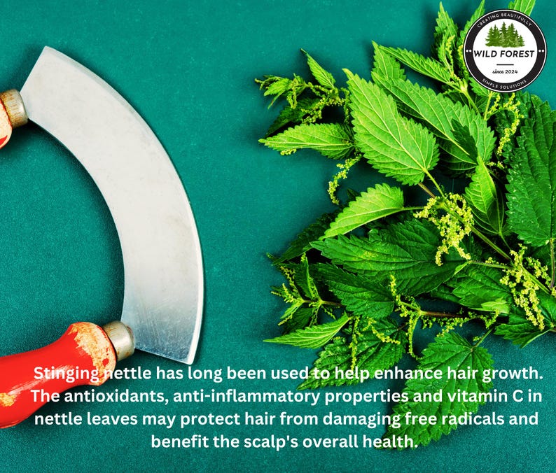 Horsetail and Nettle Shampoo Bar: Mineral-rich Herbs Infused Natural ...