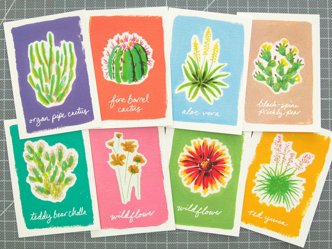 Desert Plant Postcards - Cholla Cactus Set (8-pack) - Etsy