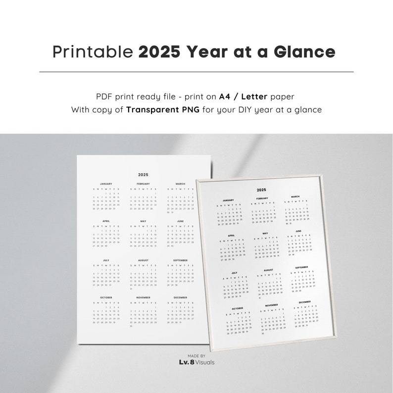 Printable 2025 Year at a Glance Calendar Instant Digital Download PDF ...