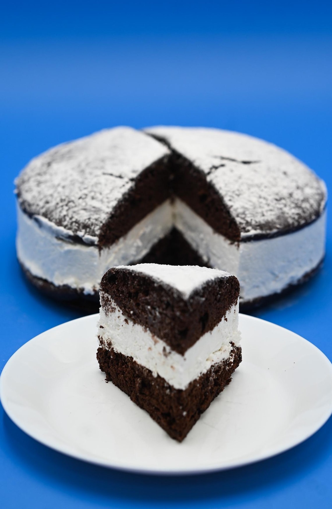 GIANT, MASSIVE, 3LB 8” Whoopie Pie Cake- Perfect Gift, Sure to Impress ...