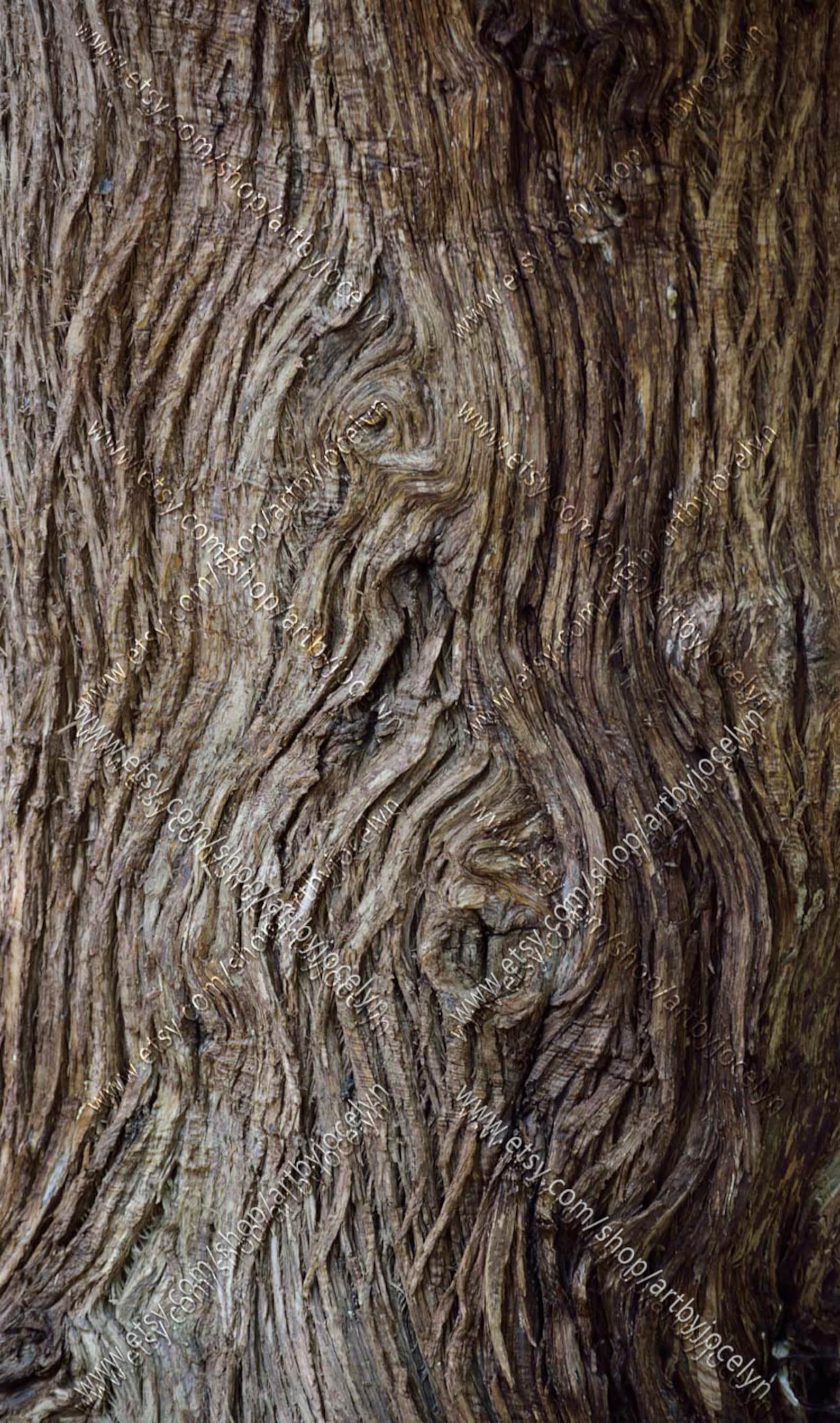Gnarly Tree Bark Photo Download Knots Texture Digital Image | Etsy