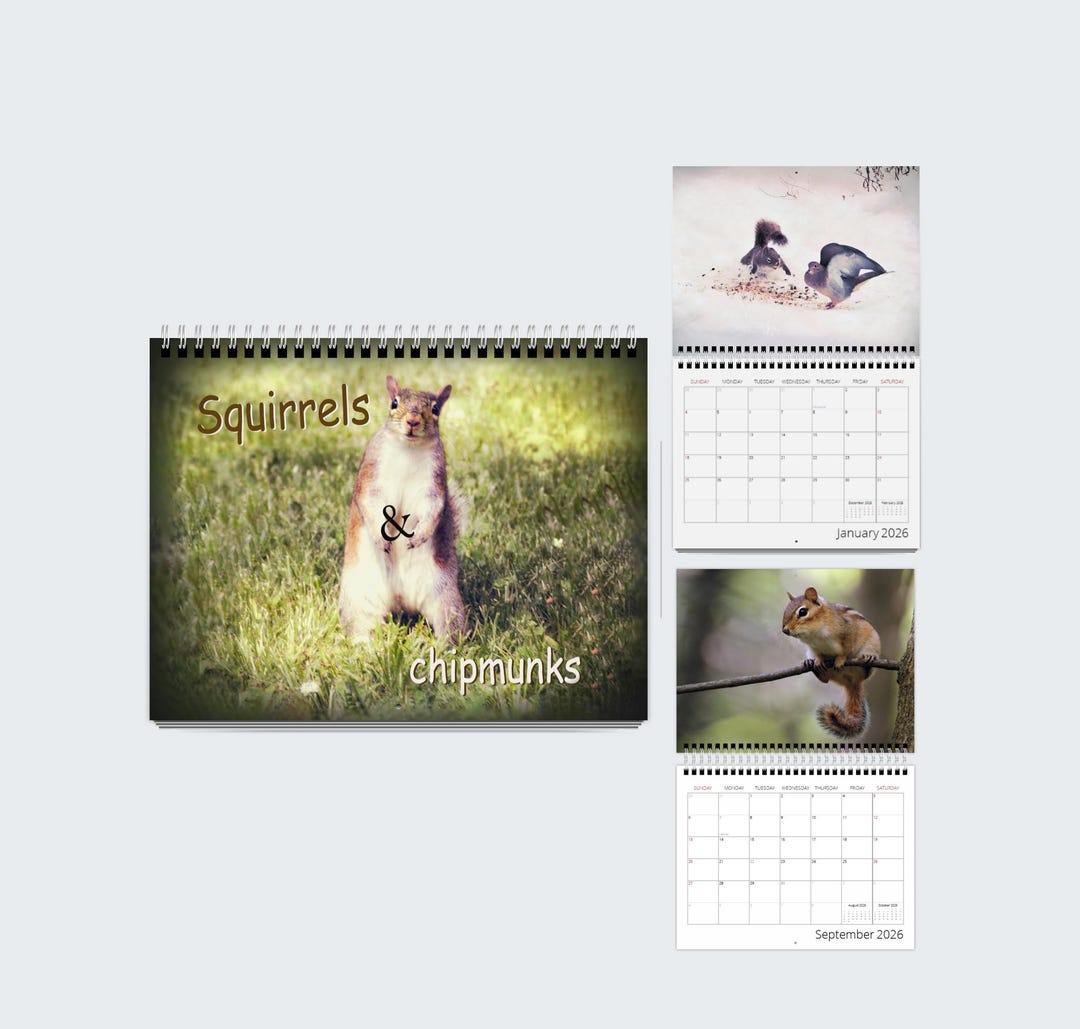 Squirrels and Chipmunks 2026 Calendar, Animal Photos Hanging Date ...