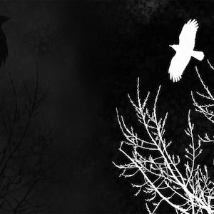 Midnight Gothic Crows and Trees Coffee Mug Personalized With Your Name ...