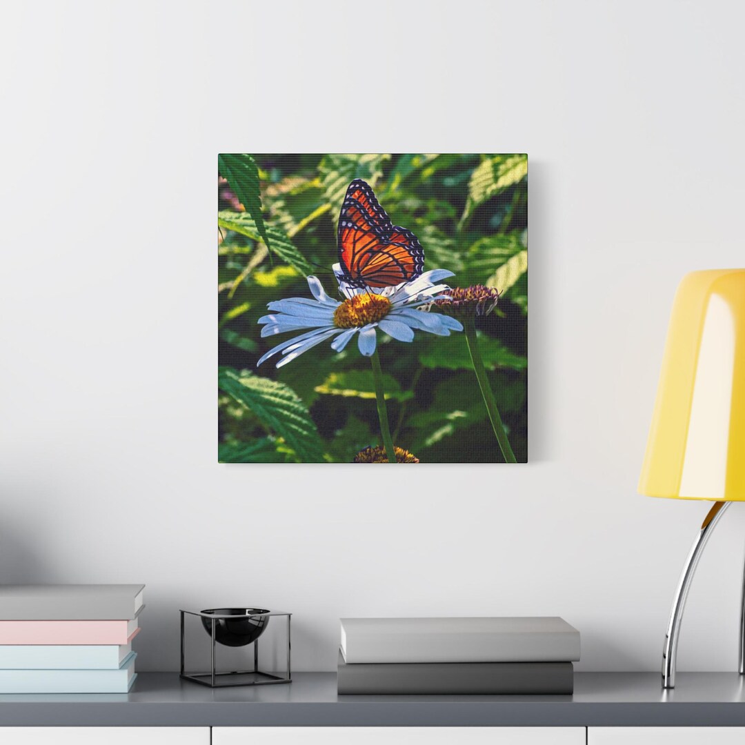 Monarch on Daisy Flower Oil Painting Effect Matte Canvas, Stretched, 1. ...