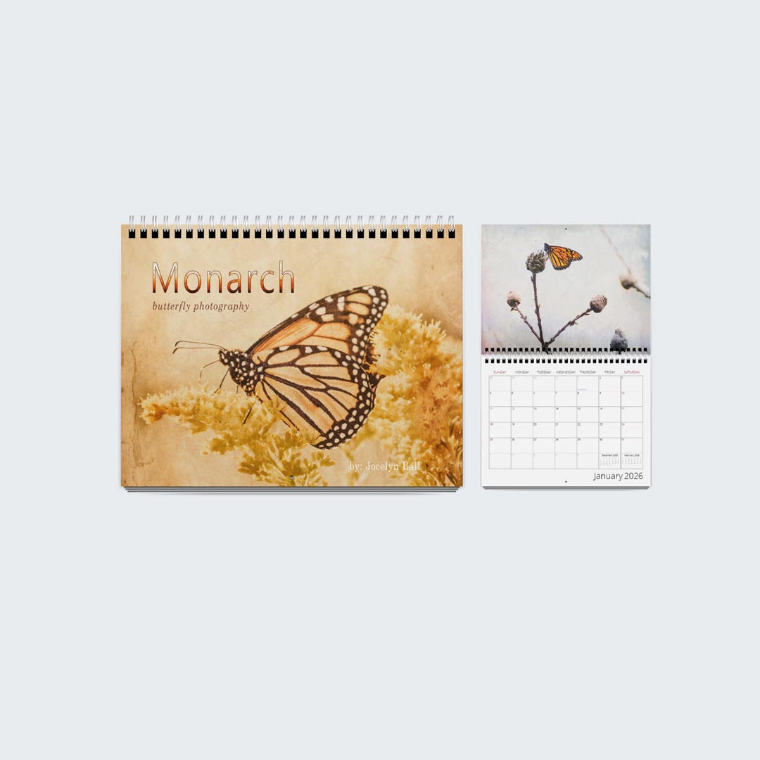 Monarch Butterfly Photo Calendar: 12 Month Hanging Wall Art Date ...
