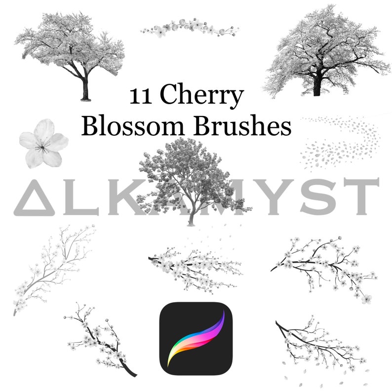 11 Cherry Blossom Brushes for Procreate Branches Petals Tree Flower - Etsy