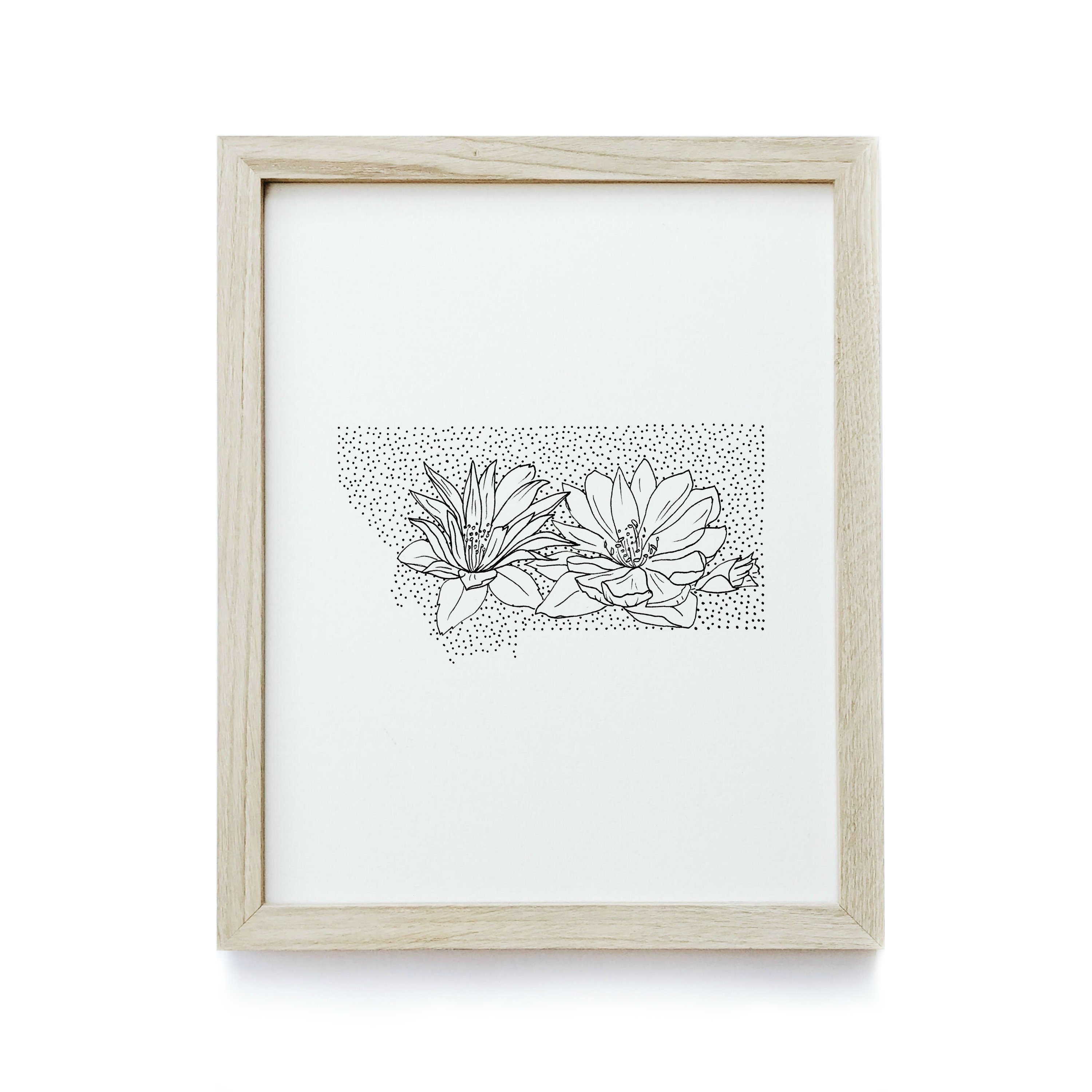 Bitterroot Flower Sketch