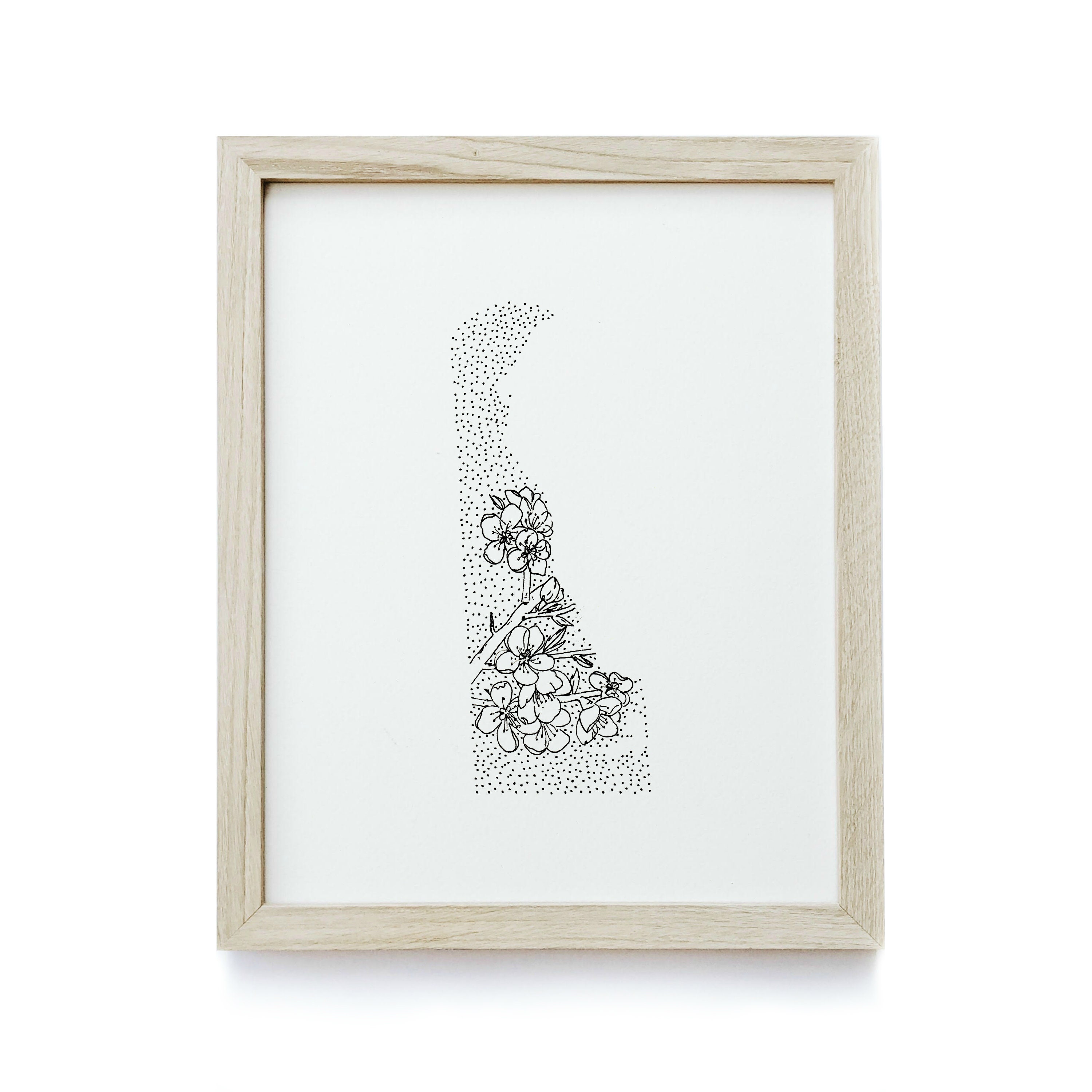 Delaware State Flower Drawing